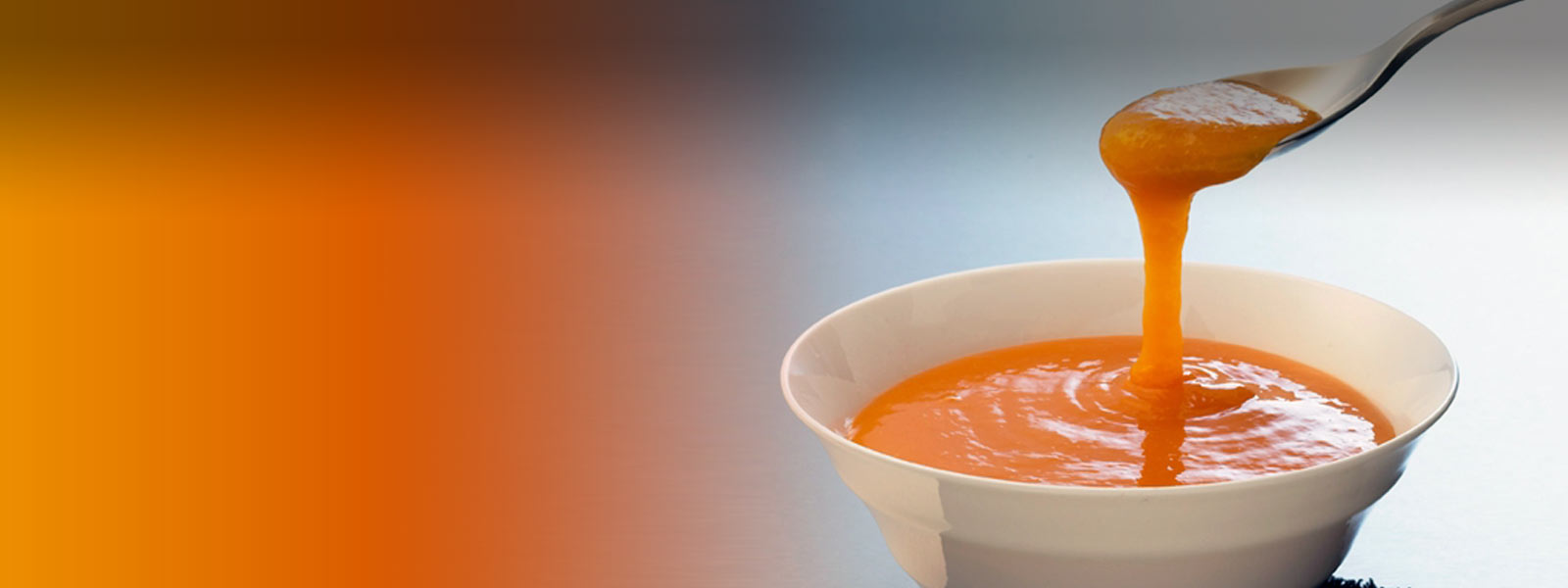 Nava Quality Foods Pvt Ltd | Puree | Concentrates | Fresh IQF Fruit ...